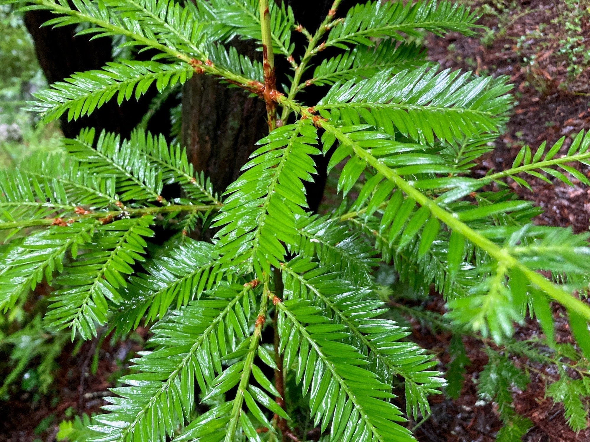 Growth Is the Lasting Impact of What We Choose To Do Today – Oolie